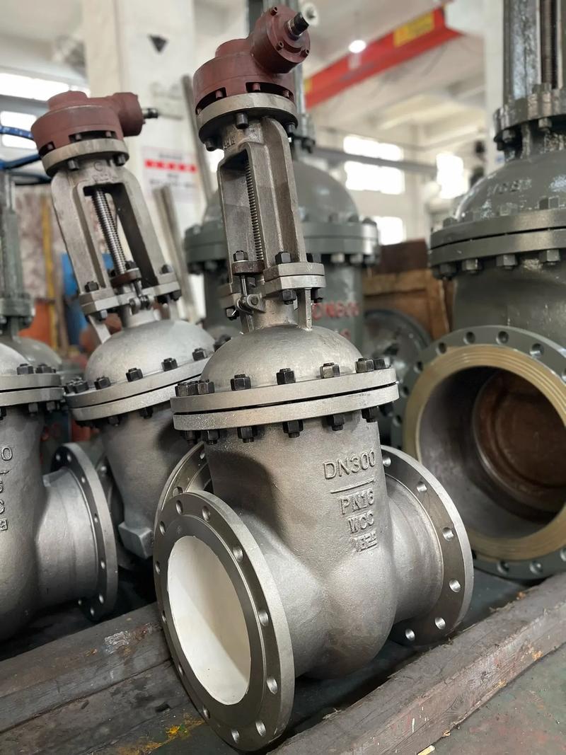 Exploring the Mysteries of Large Diameter Globe Valves - Way Valve